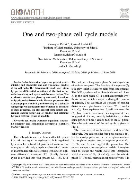 (PDF) One and two-phase cell cycle models