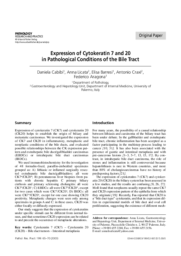 (PDF) Expression of Cytokeratin 7 and 20 in Pathological Conditions of ...