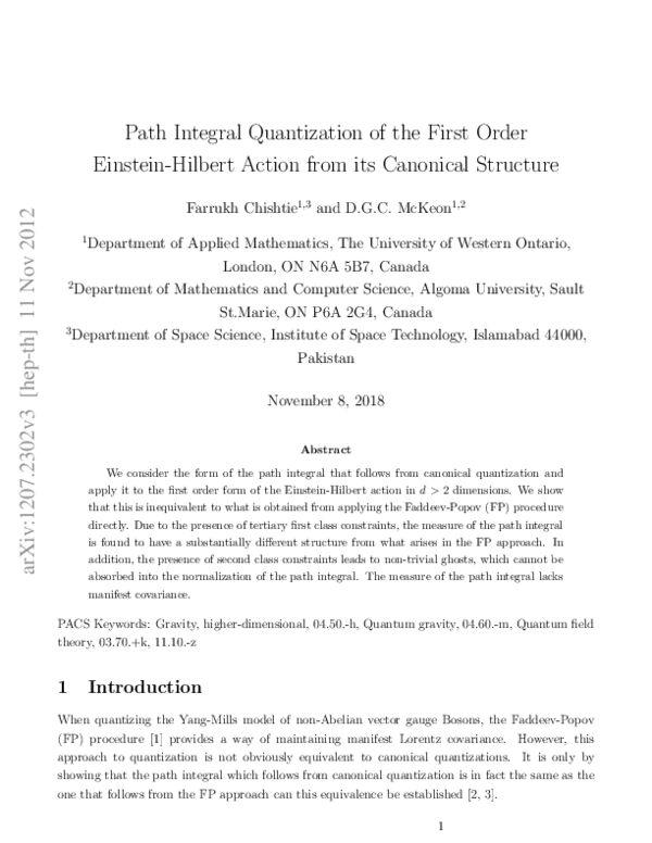 Pdf Path Integral Quantization Of The First Order Einsteinhilbert Action From Its Canonical