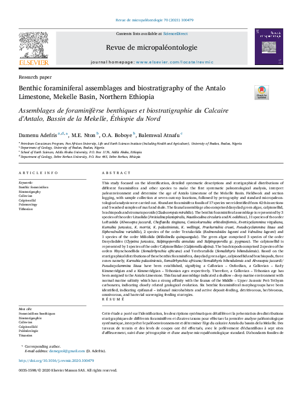 (PDF) Benthic foraminiferal assemblages and biostratigraphy of the ...
