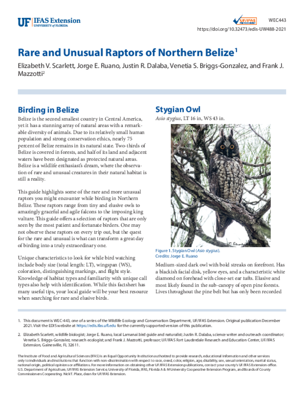 (PDF) Rare and Unusual Raptors of Northern Belize