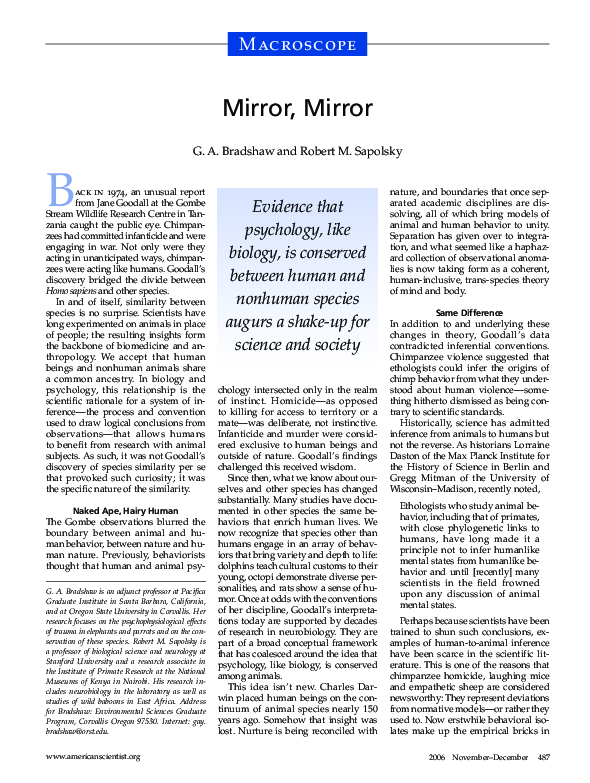 Pdf Mirror Mirror
