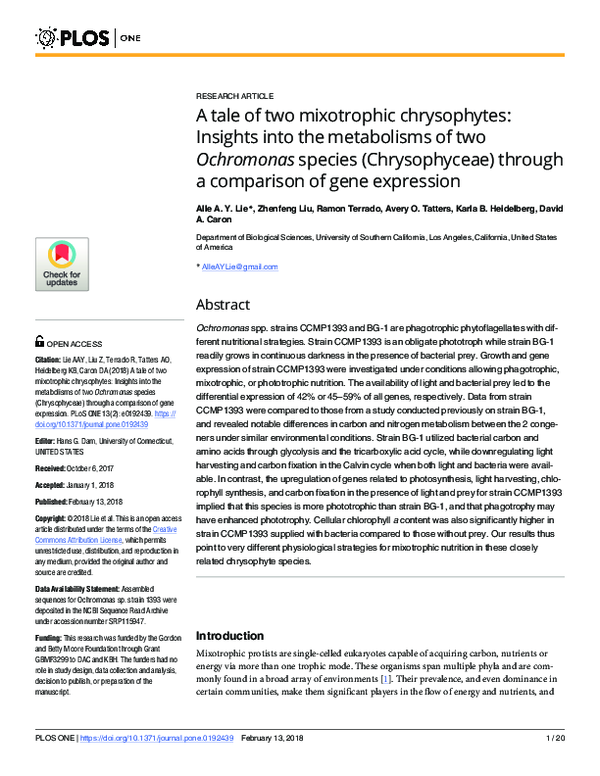 (PDF) A tale of two mixotrophic chrysophytes: Insights into the ...