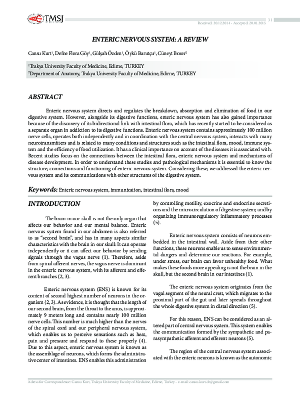 (PDF) ENTERIC NERVOUS SYSTEM: A REVIEW