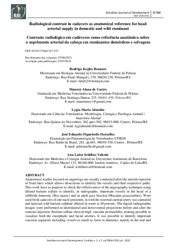 (PDF) Radiological contrast in cadavers as anatomical reference for ...