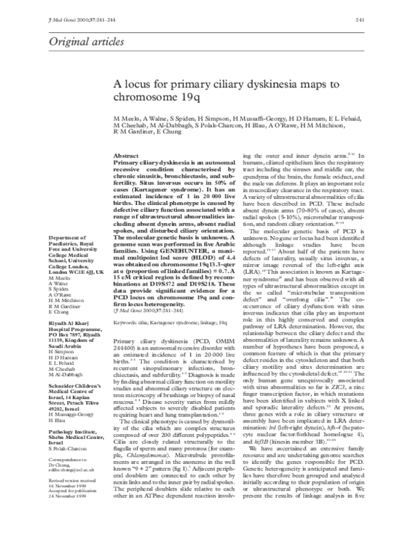 (PDF) A locus for primary ciliary dyskinesia maps to chromosome 19q ...