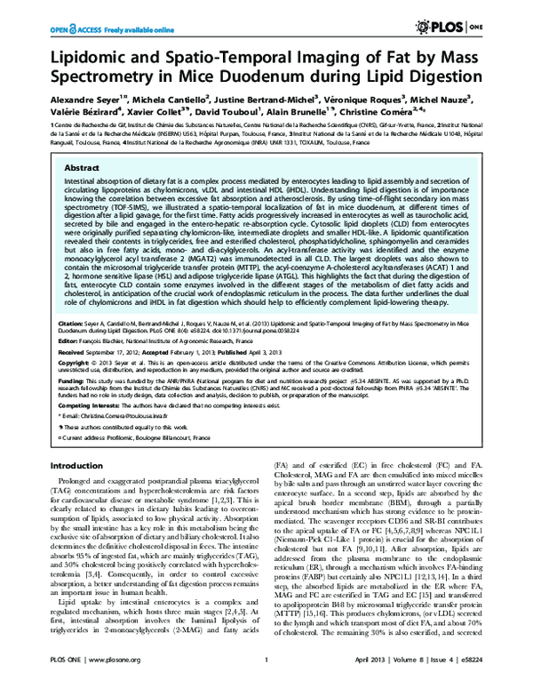 (PDF) Lipidomic and Spatio-Temporal Imaging of Fat by Mass Spectrometry ...