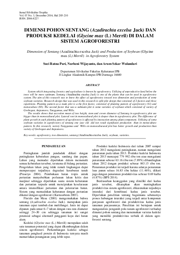 (PDF) Dimension of Sentang (Azadirachta excelsa Jack) and Production of ...