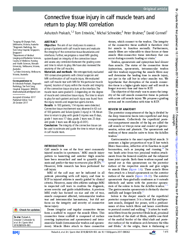 (PDF) Connective tissue injury in calf muscle tears and return to play ...
