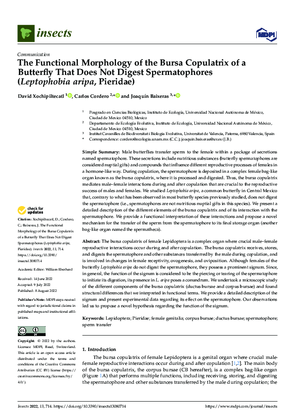 (PDF) The Functional Morphology of the Bursa Copulatrix of a Butterfly ...