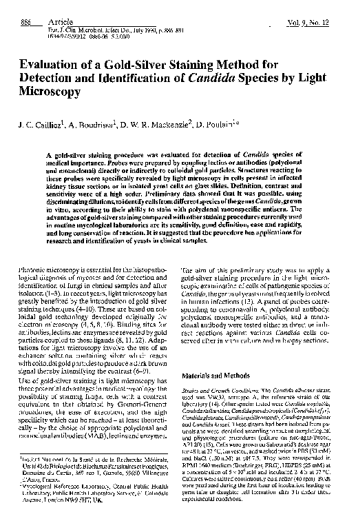 (PDF) Evaluation of a gold-silver staining method for detection and ...
