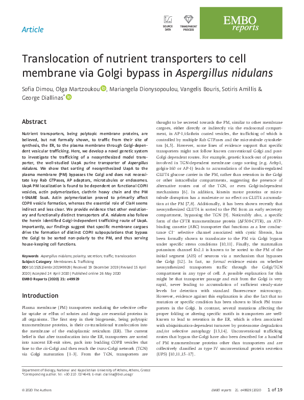 (PDF) Translocation of nutrient transporters to cell membrane via Golgi ...