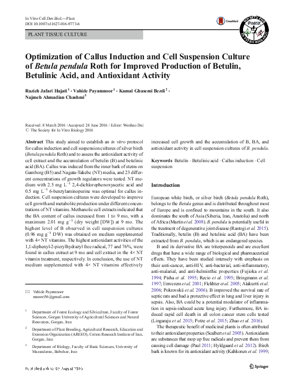 (PDF) Optimization of Callus Induction and Cell Suspension Culture of Betula pendula Roth for ...