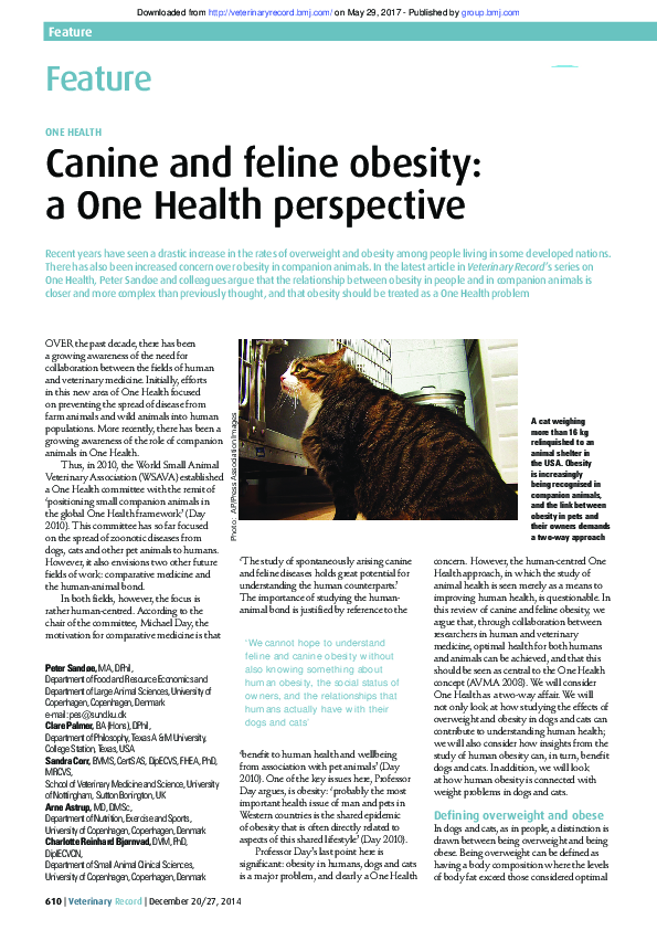 (PDF) Canine and feline obesity: a One Health perspective