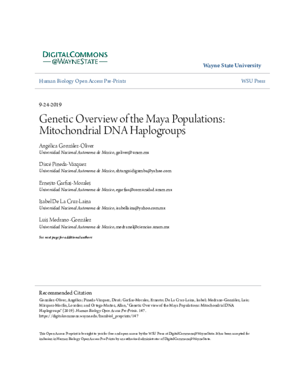(PDF) Genetic Overview of the Maya Populations: Mitochondrial DNA ...