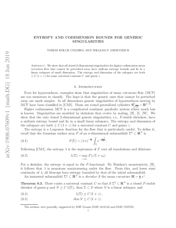 Pdf Entropy And Codimension Bounds For Generic Singularities Tobias