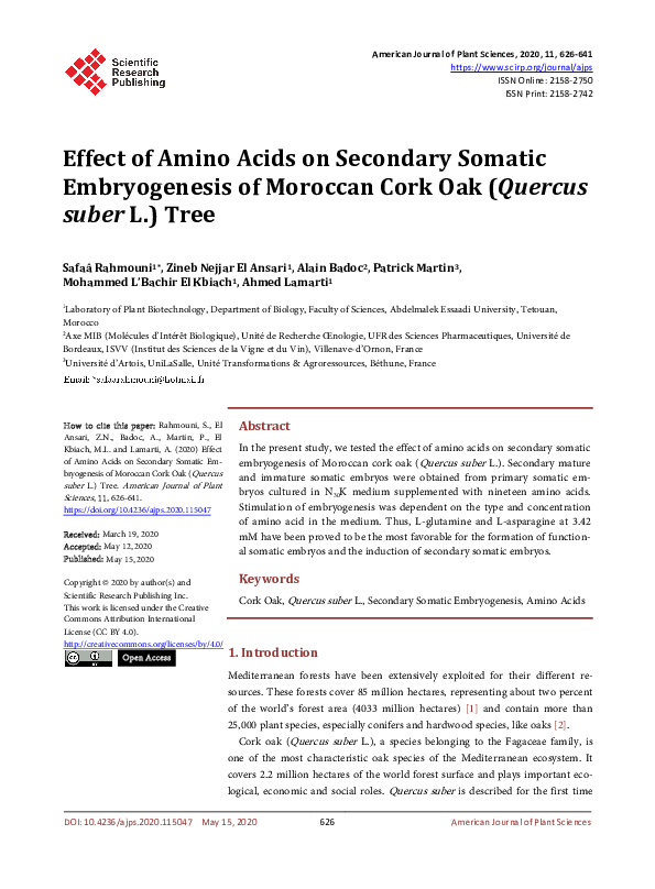 (PDF) Effect of Amino Acids on Secondary Somatic Embryogenesis of ...