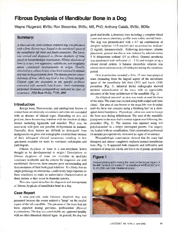 (PDF) Fibrous Dysplasia of Mandibular Bone in a Dog | Anthony Caiafa ...