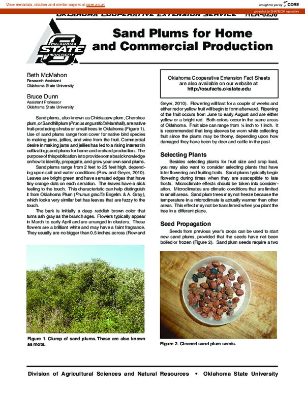 (PDF) Sand Plums for Home and Commercial Production