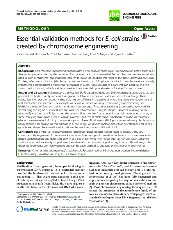 (PDF) Essential validation methods for E. coli strains created by chromosome engineering