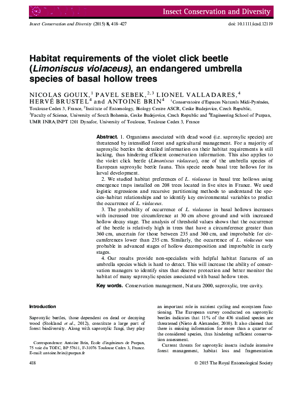 (PDF) Habitat requirements of the violet click beetle (Limoniscus ...