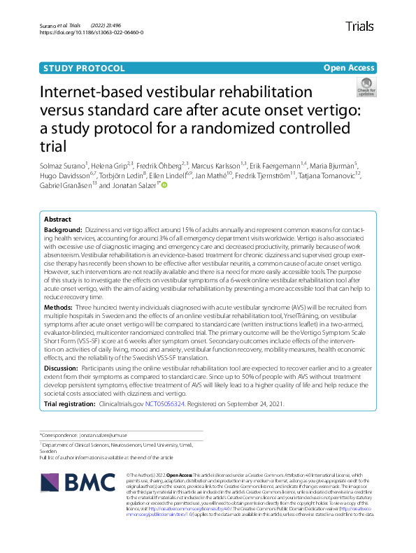 (PDF) Internet-based vestibular rehabilitation versus standard care ...