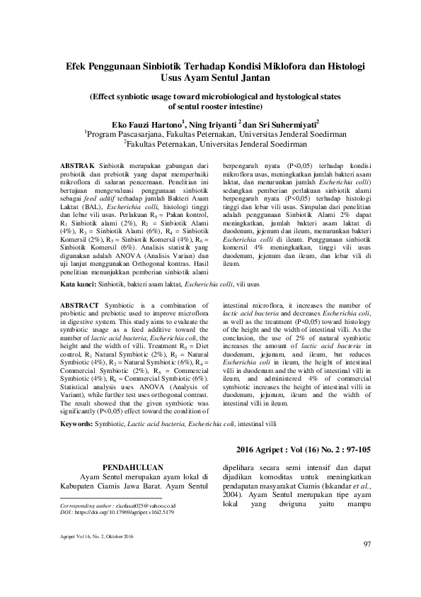 (PDF) The rabbit brain as a model of structural plasticity
