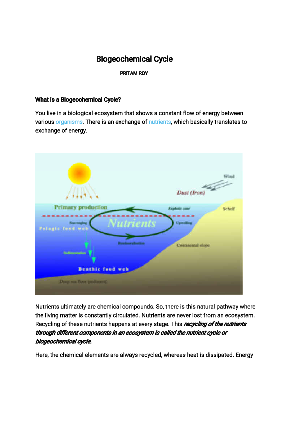 (PDF) Biogeochemical Cycle