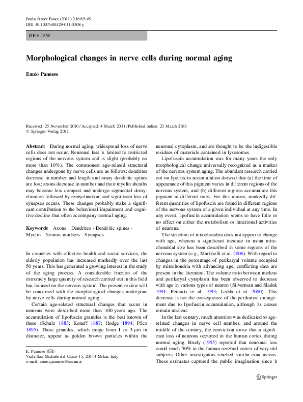 (PDF) Morphological changes in nerve cells during normal aging