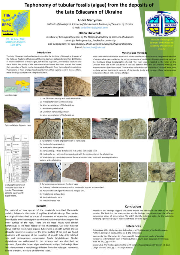 Taphonomy of tubular fossils (algae) from the deposits of the Late ...