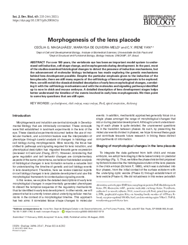 (PDF) Morphogenesis of the lens placode