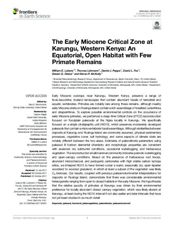 (PDF) The Early Miocene Critical Zone at Karungu, Western Kenya: An ...