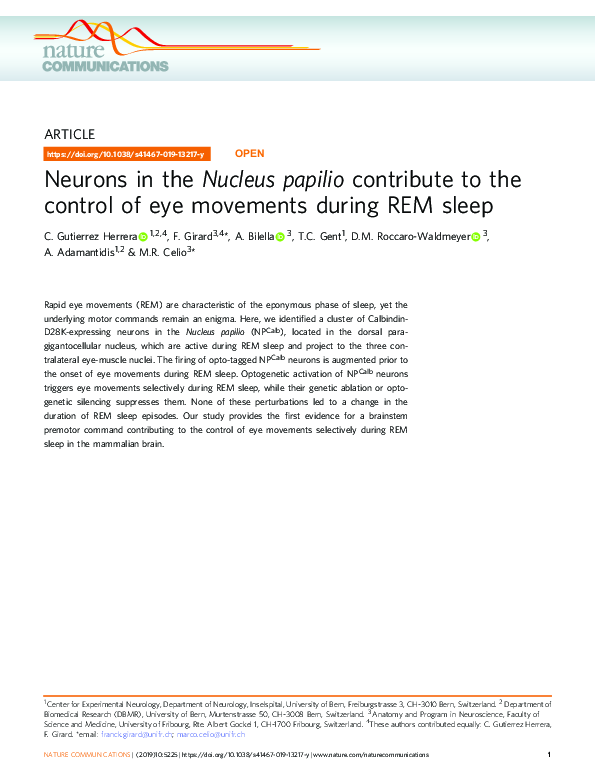 (PDF) Neurons in the Nucleus papilio contribute to the control of eye ...