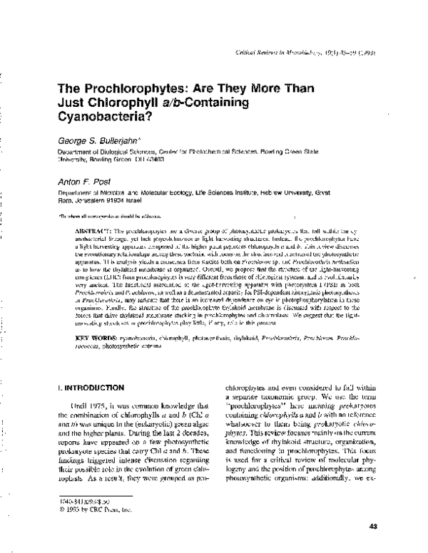 (PDF) The Prochlorophytes: Are They More Than Just Chlorophyll a/b ...