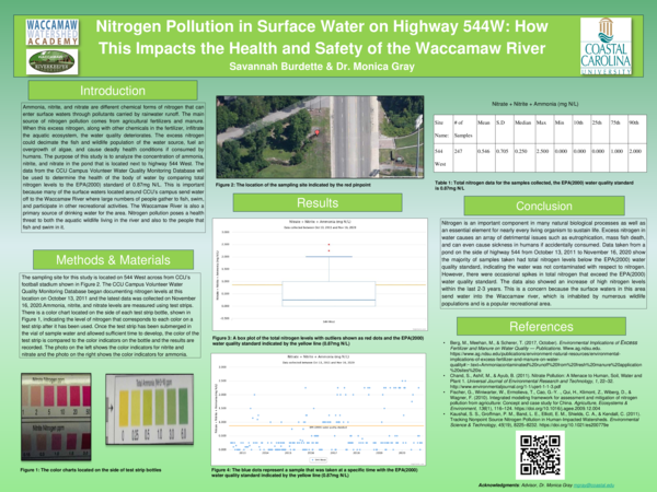 (PDF) Nitrogen Pollution in Surface Water on Highway 544W: How This ...