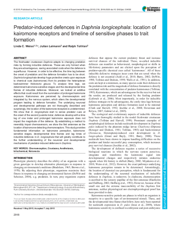 (PDF) Predator-induced defences in Daphnia longicephala: location of ...