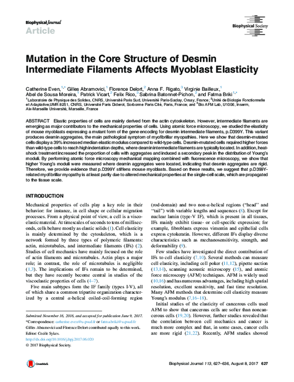(PDF) Mutation in the Core Structure of Desmin Intermediate Filaments ...