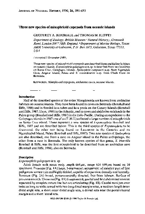 (PDF) Three new species of misophrioid copepods from oceanic islands ...