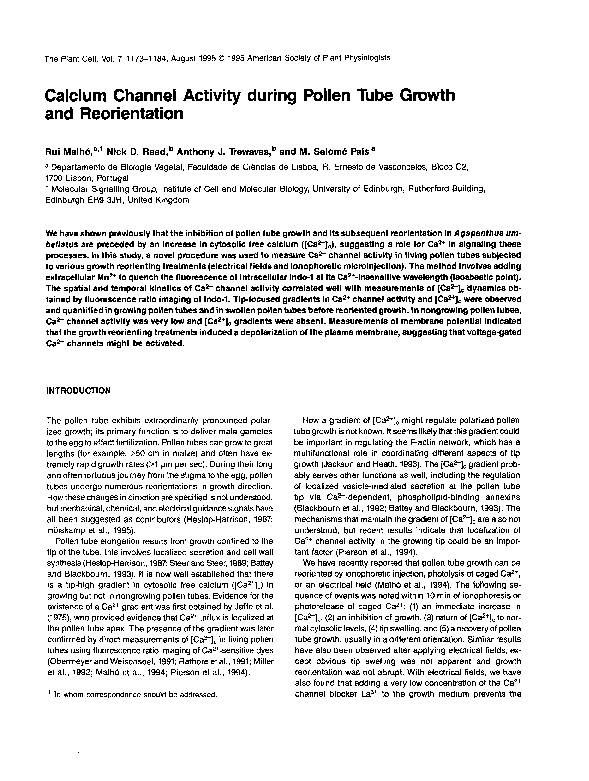 (PDF) Calcium Channel Activity during Pollen Tube Growth and Reorientation