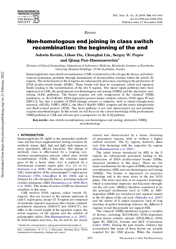 (PDF) Non-homologous end joining in class switch recombination: the ...