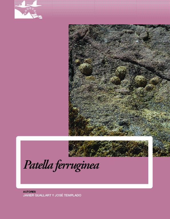 (PDF) Patella ferruginea