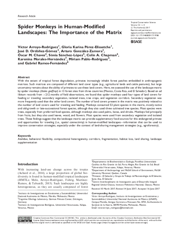 (PDF) Spider Monkeys in Human-Modified Landscapes