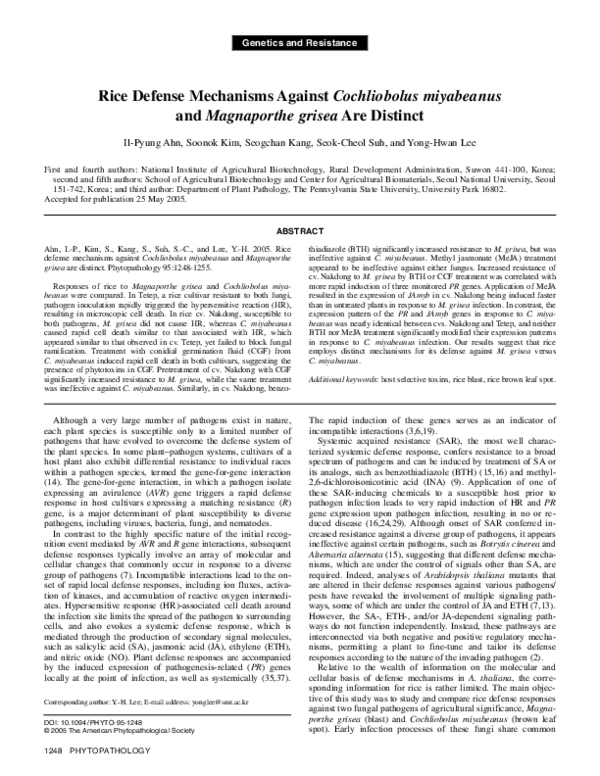 (PDF) Rice Defense Mechanisms Against Cochliobolus miyabeanus and ...