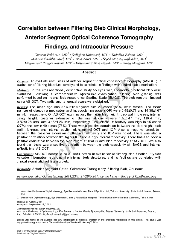 (PDF) Correlation between Filtering Bleb Clinical Morphology, Anterior ...