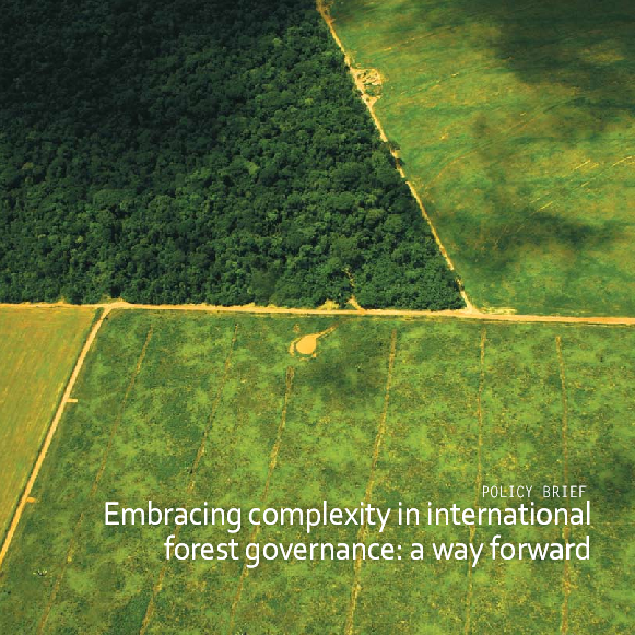 (PDF) Embracing complexity in international forest governance: a way ...