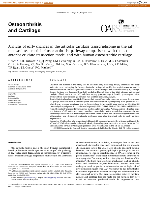 (PDF) Analysis of early changes in the articular cartilage ...