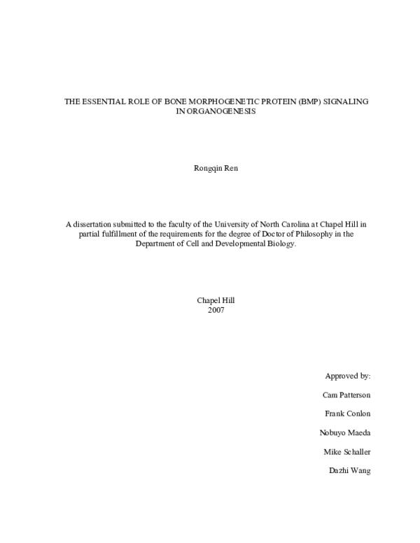 (PDF) The essential role of bone morphogenetic protein (BMP) signaling ...