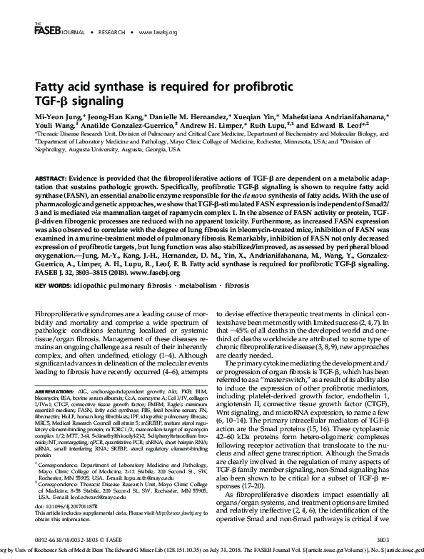 (PDF) Fatty acid synthase is required for profibrotic TGF-β signaling