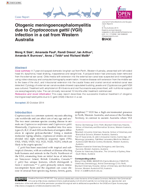(PDF) Treatment of C. gattii Meninogencephalomyelitis in Cat