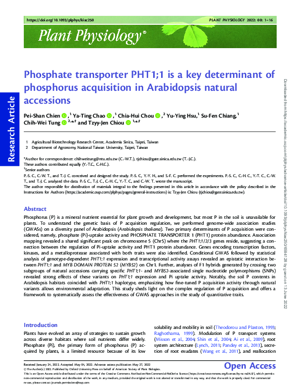 (PDF) Phosphate transporter PHT1;1 is a key determinant of phosphorus ...